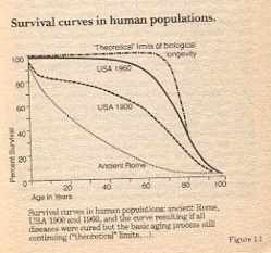 Survival Curves